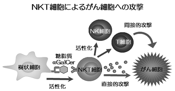 第120回 日本耳鼻咽喉科学会総会・学術講演会